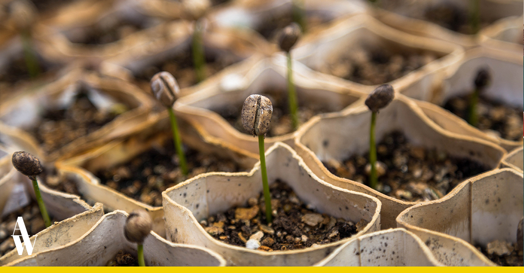 Five Things Friday Roundup: Caring for each other through transitions | Anabaptist World