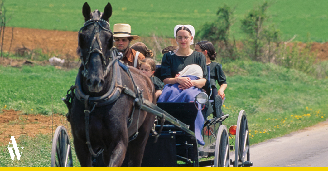 Catching up with the Amish | Anabaptist World