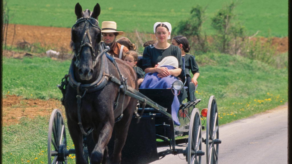 Catching up with the Amish | Anabaptist World