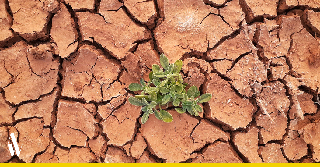 On the way, borderlands become sacred ground | Anabaptist World