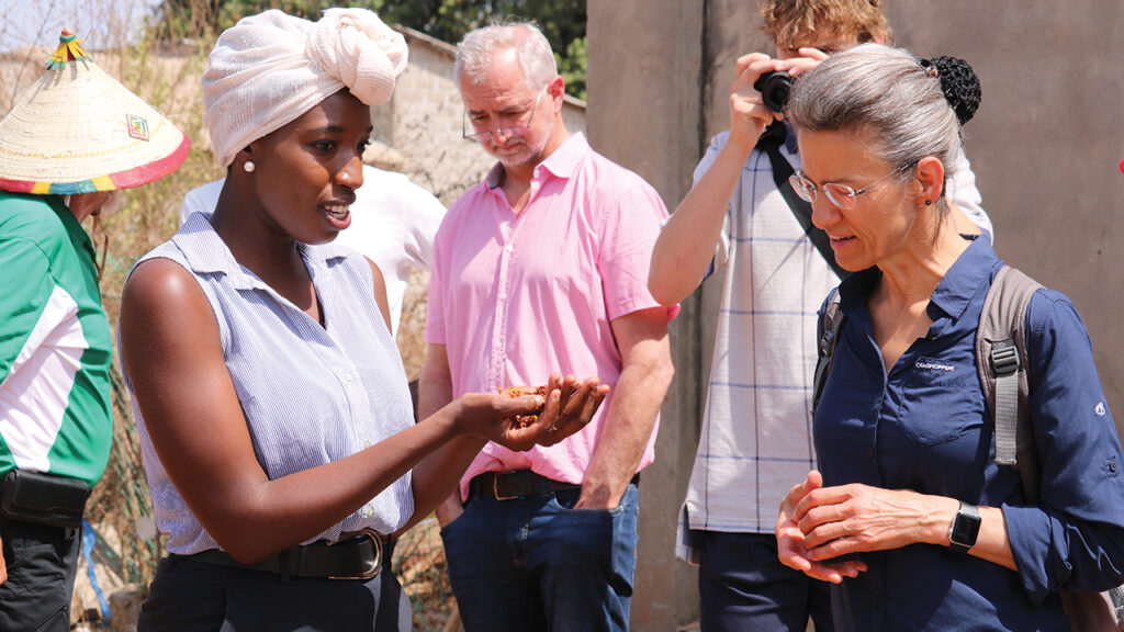 Rethinking development with MEDA | Anabaptist World