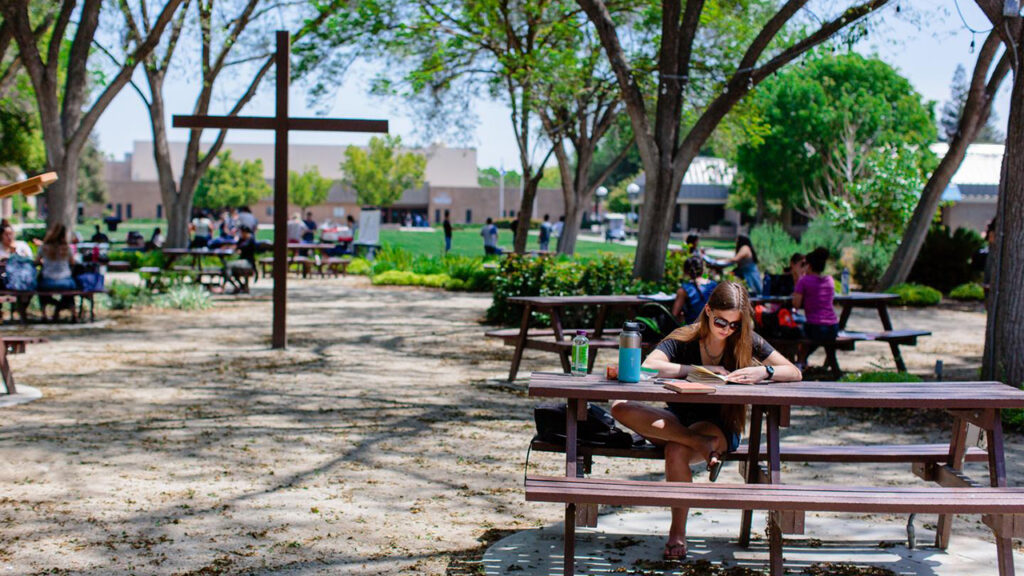 FPU cutting programs and staff to reduce costs, meet student needs ...