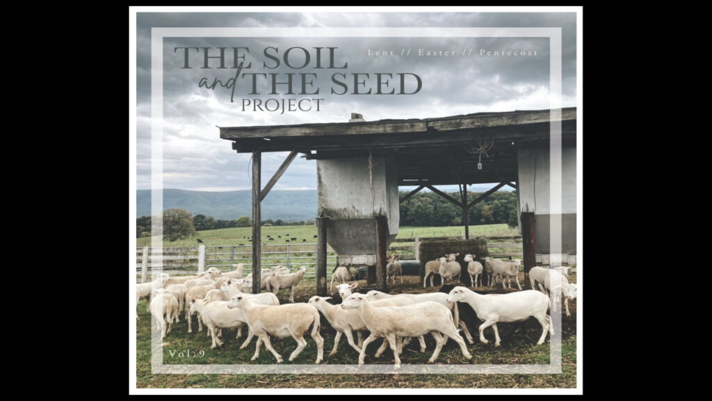 The Soil and The Seed Project releases musical collection for Lent, Easter and Pentecost ...
