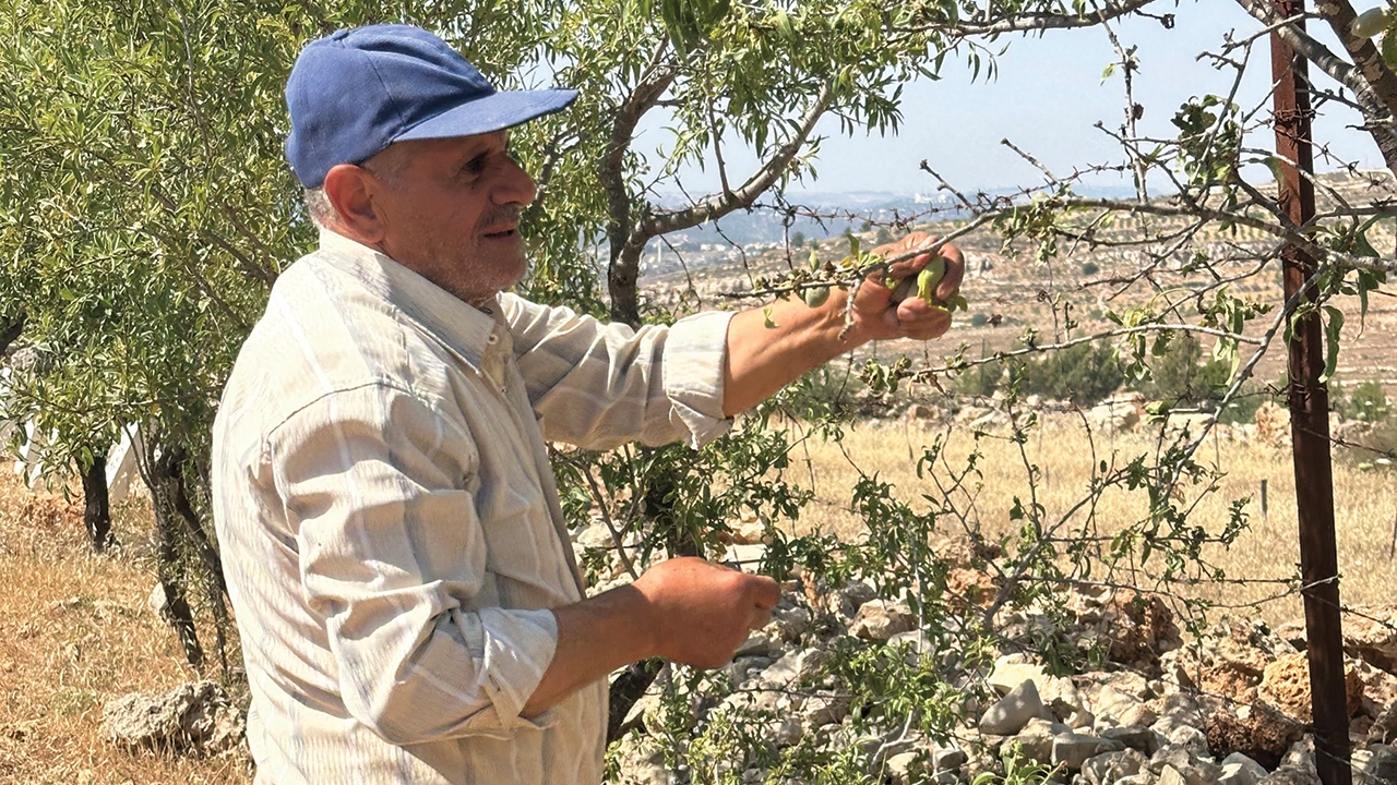 Palestinian Christians share messages of peace and hope amid deadly ...